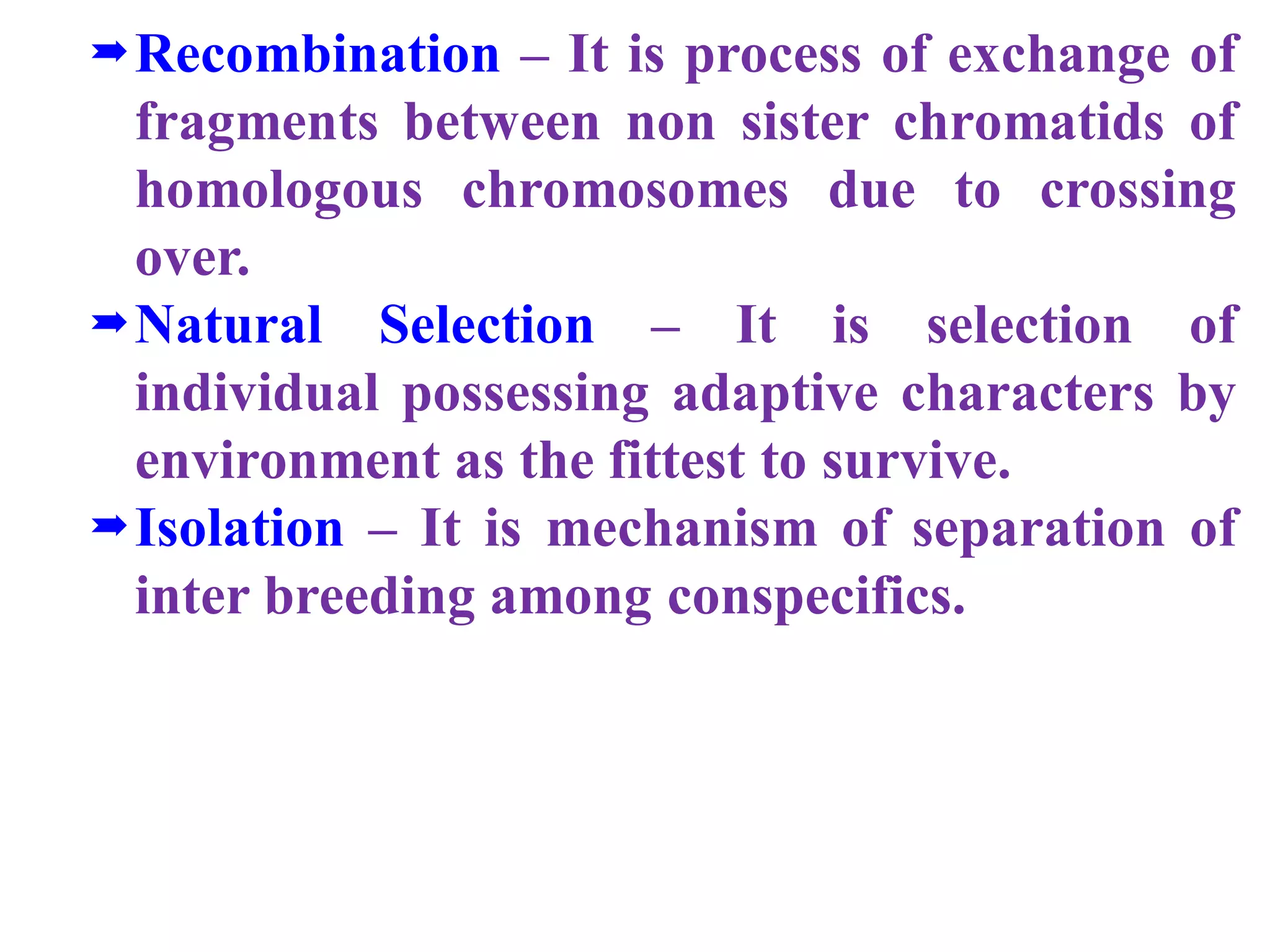 Modern Synthetic Theory | PDF