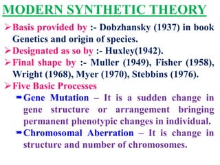Modern Synthetic Theory | PDF
