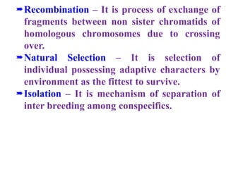 Modern Synthetic Theory | PDF