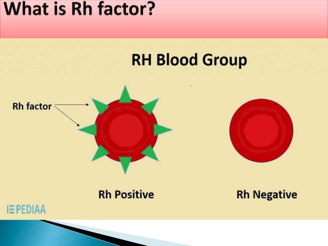 6. rh & abo incompatibility | PPTX | Pregnancy | Reproductive Health