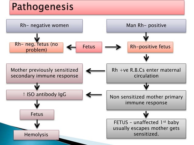 6. rh & abo incompatibility | PPTX