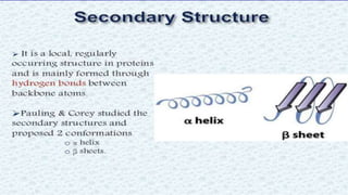 6. protein secondry structure ppt | PPTX