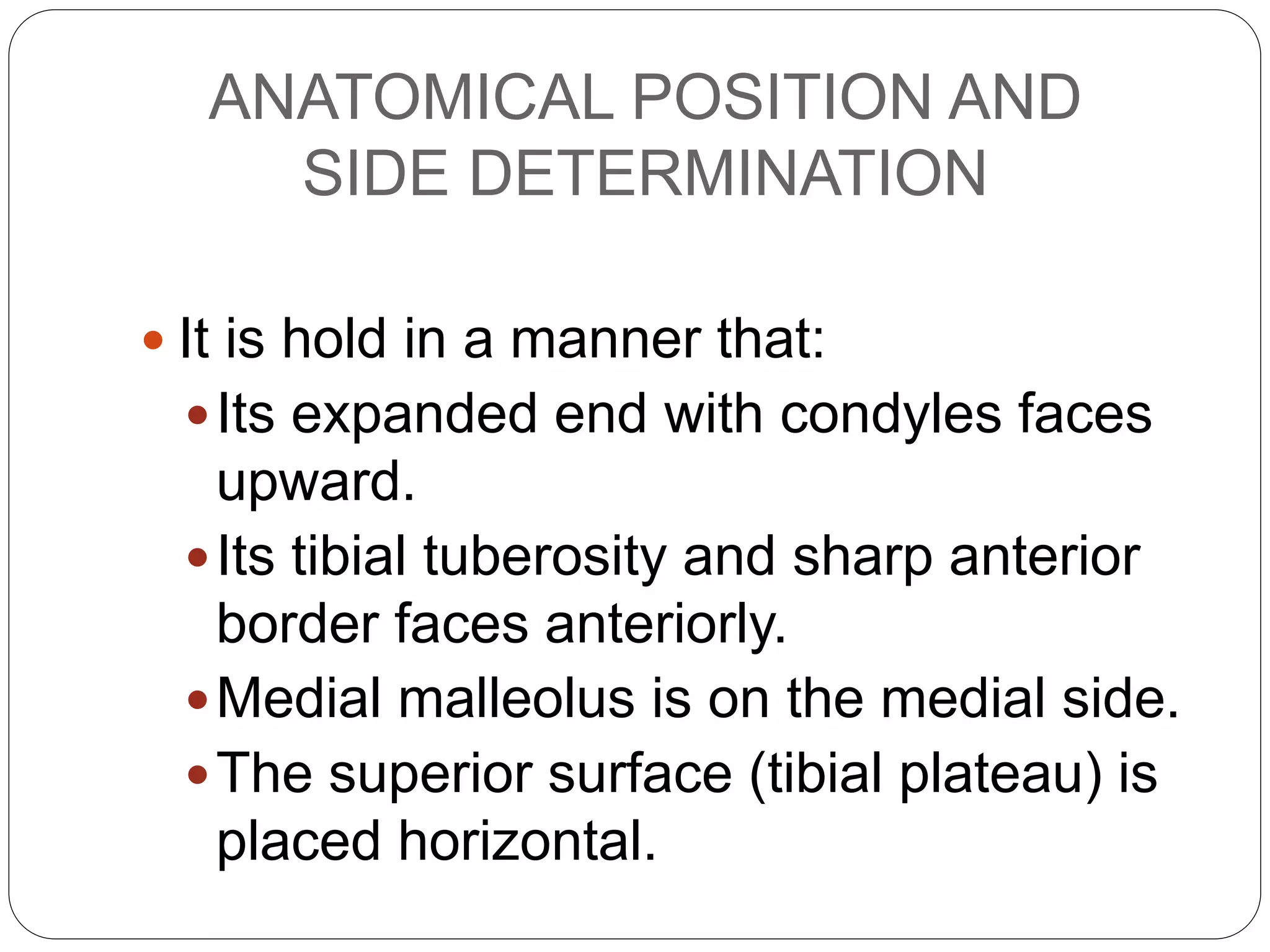 Fracture shaft of tibia | PPTX