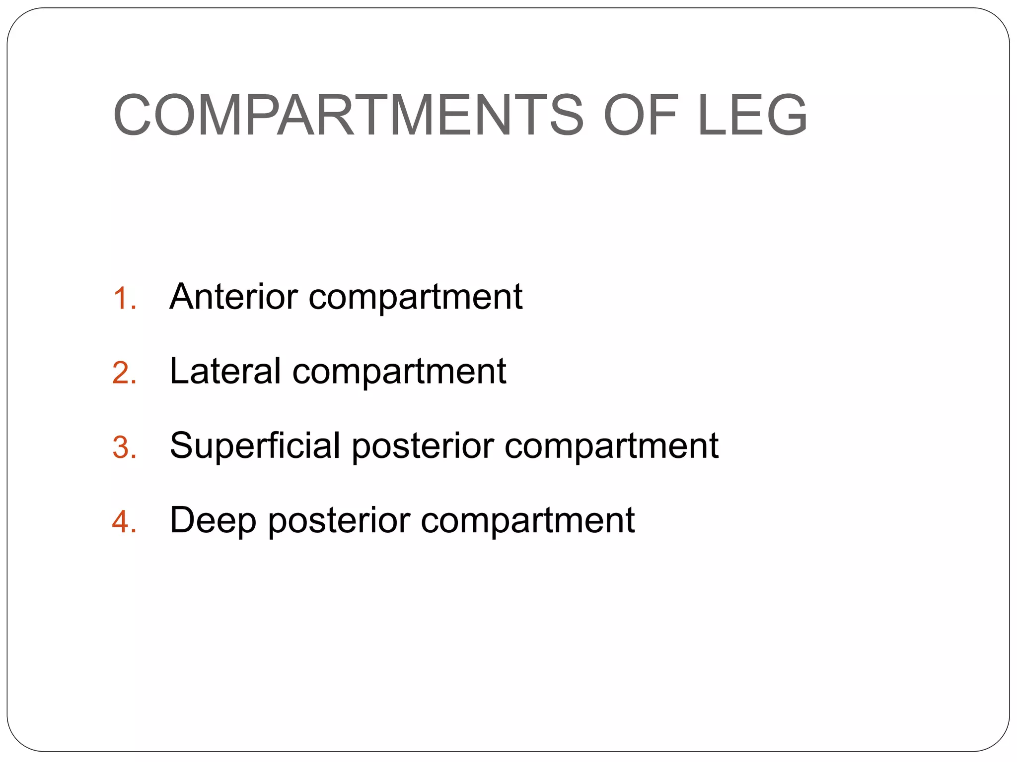 Fracture shaft of tibia | PPTX