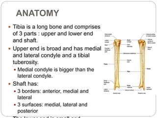 Fracture shaft of tibia | PPTX