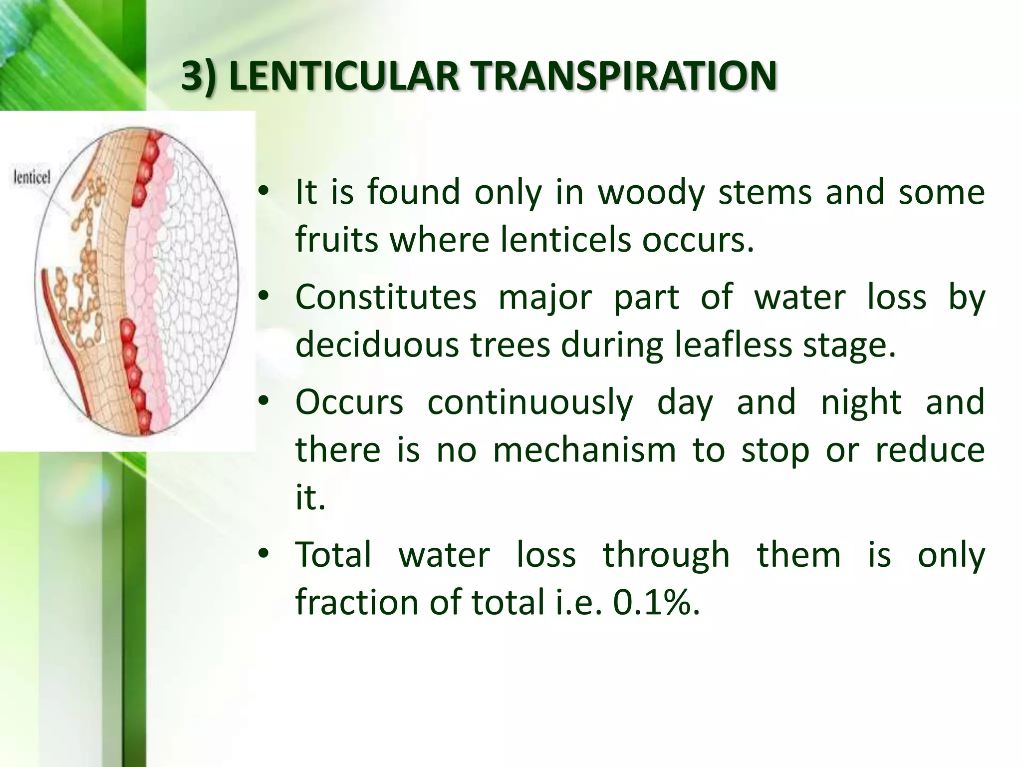Transpiration and factors affecting transpiration | PPT