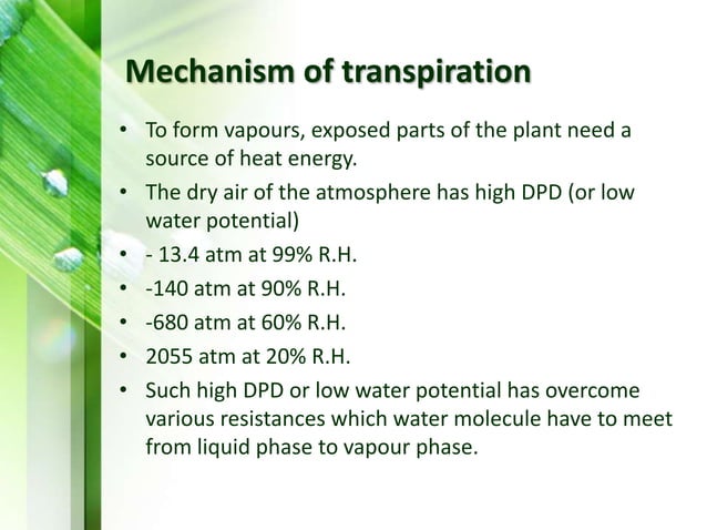 Transpiration and factors affecting transpiration | PPT