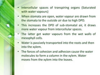Transpiration and factors affecting transpiration | PPT