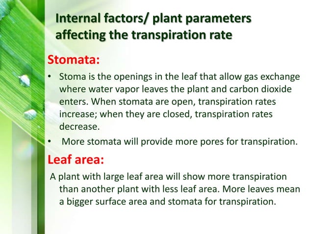 Transpiration and factors affecting transpiration | PPT