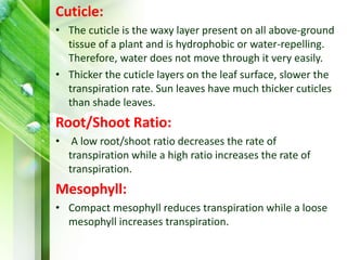 Transpiration and factors affecting transpiration | PPT