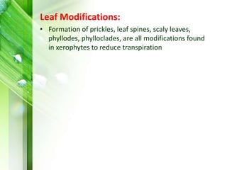 Transpiration and factors affecting transpiration | PPT