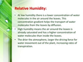 Transpiration and factors affecting transpiration | PPT