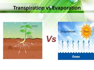 Transpiration and factors affecting transpiration | PPT
