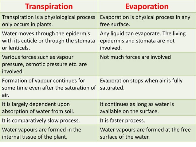 Transpiration and factors affecting transpiration | PPT