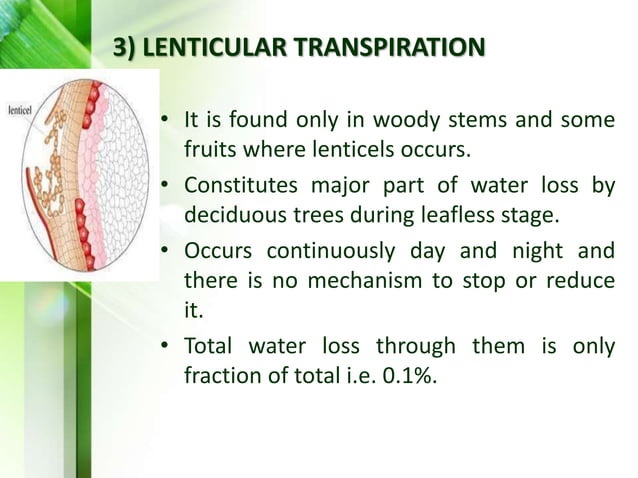 Transpiration and factors affecting transpiration | PPT