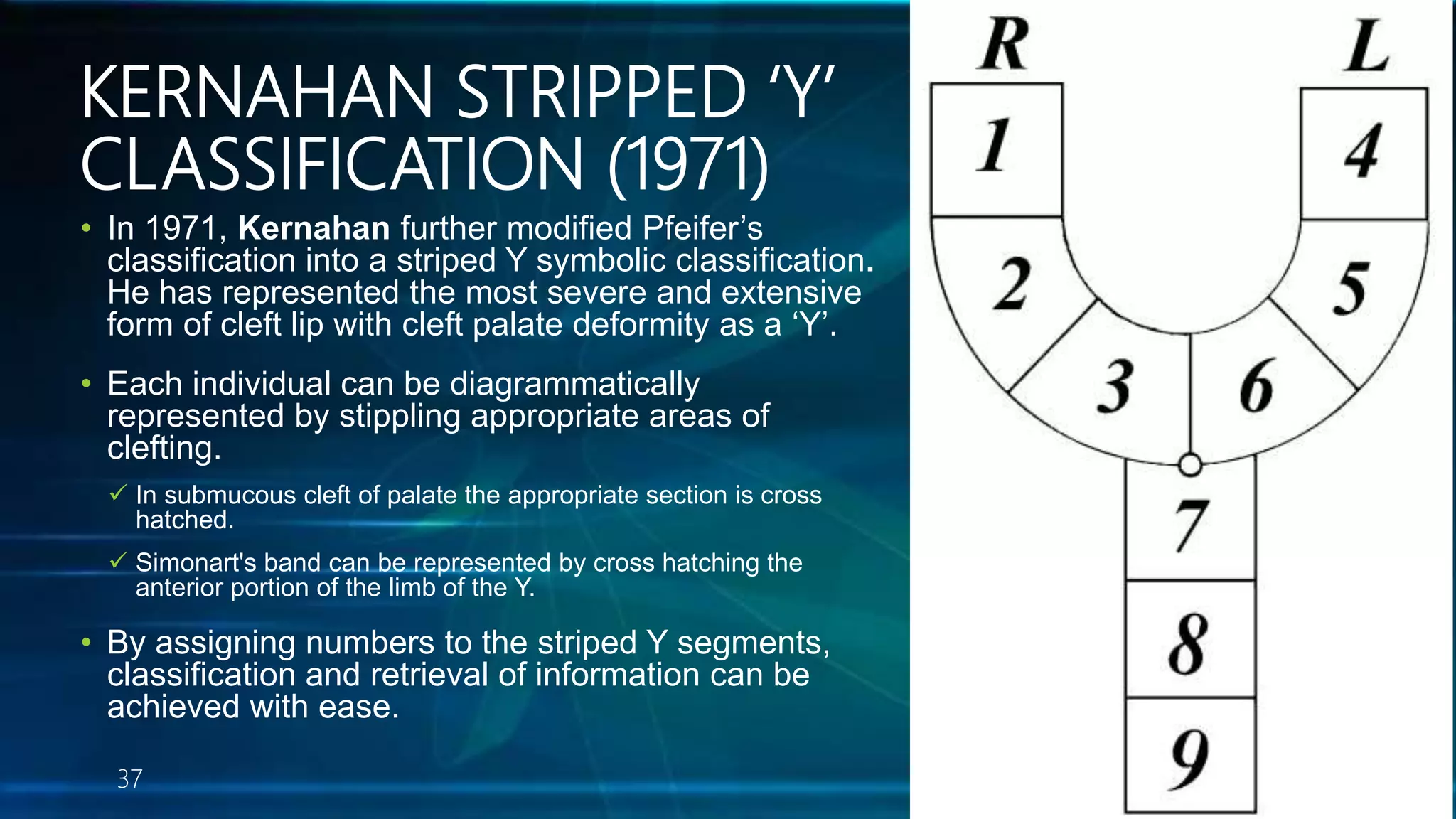 Cleft Lip and Cleft Palate | PPTX | Ear, Nose and Throat Conditions ...