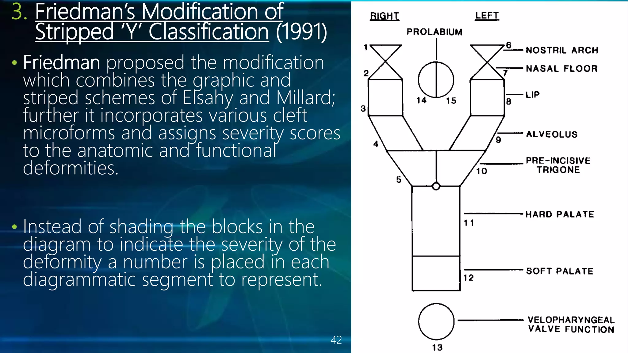 Cleft Lip and Cleft Palate | PPTX | Ear, Nose and Throat Conditions ...
