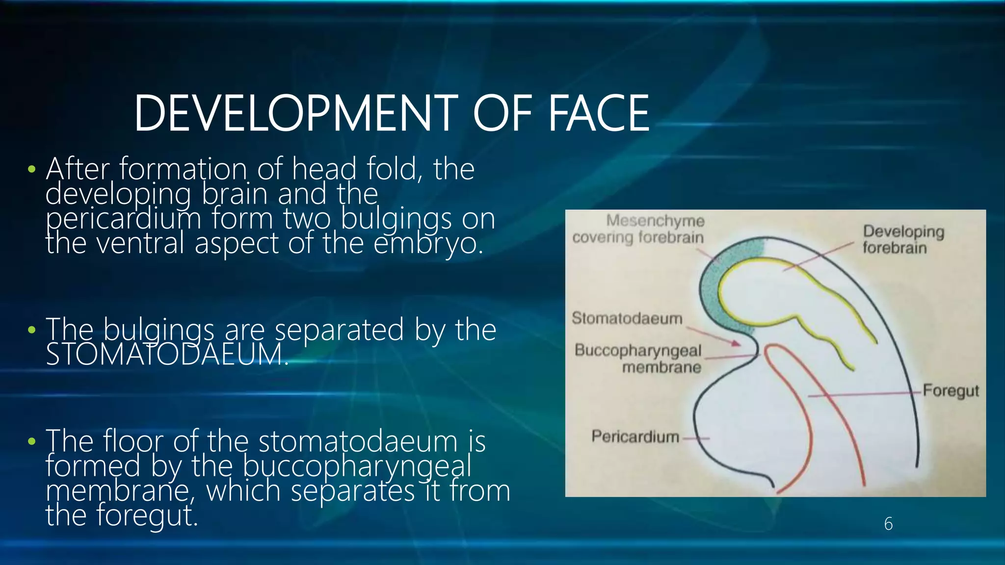 Cleft Lip and Cleft Palate | PPTX | Ear, Nose and Throat Conditions ...