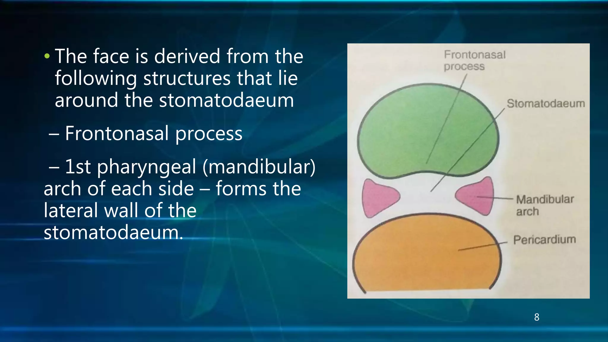 Cleft Lip and Cleft Palate | PPTX | Ear, Nose and Throat Conditions ...