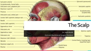 The Scalp | PPTX