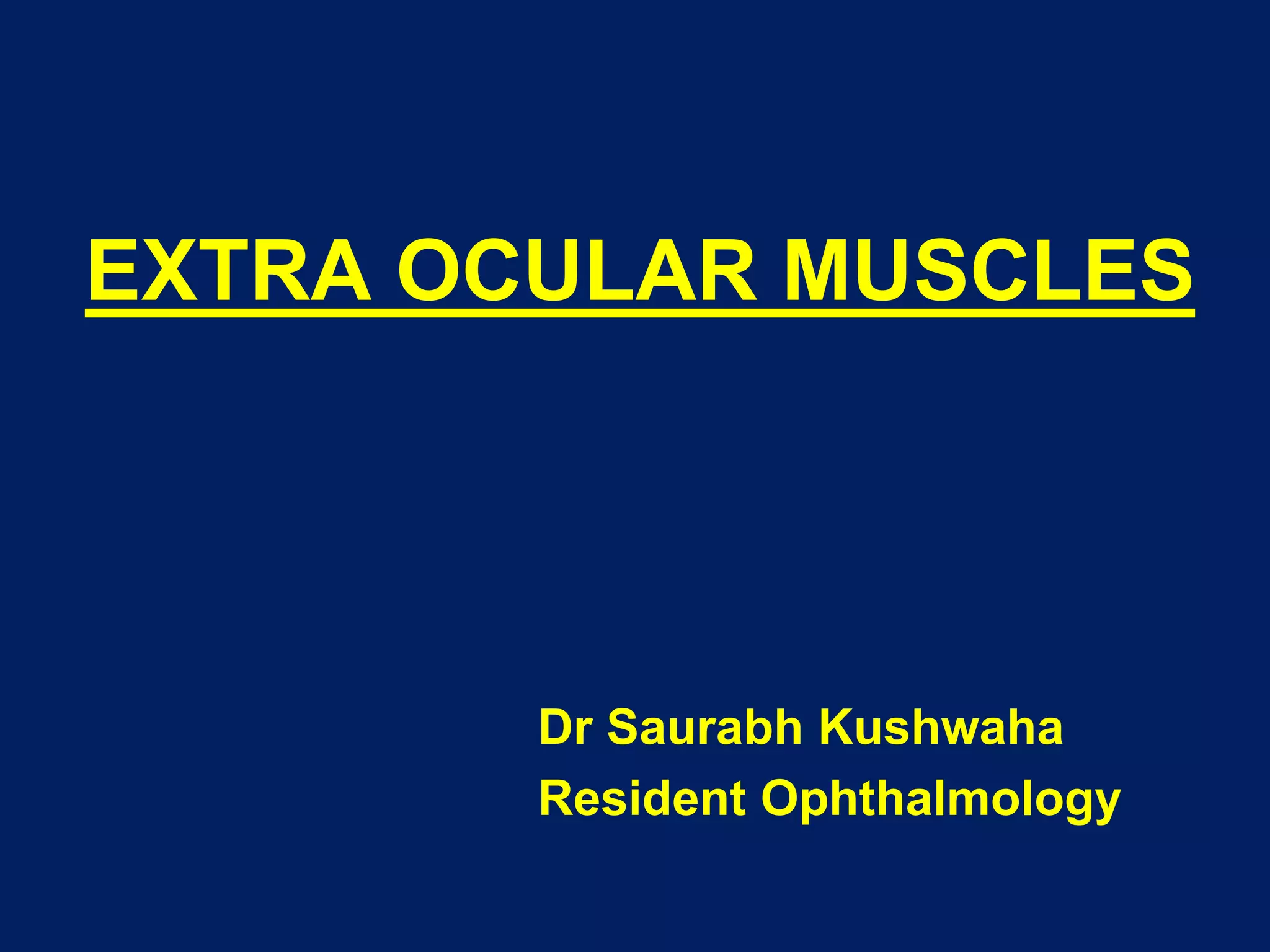 Extra ocular muscles | PPT
