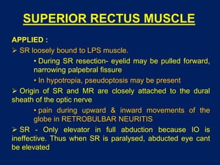Extra ocular muscles | PPT