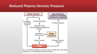 Hemodynamic Disorders | PPTX