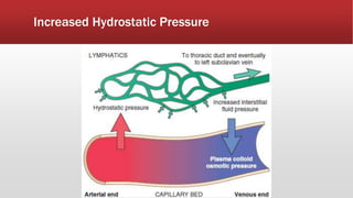 Hemodynamic Disorders | PPTX