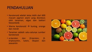 6. Karotenoid | PPTX