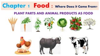 Food - plat parts and animal products | PPTX