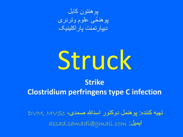 6. struck | PDF