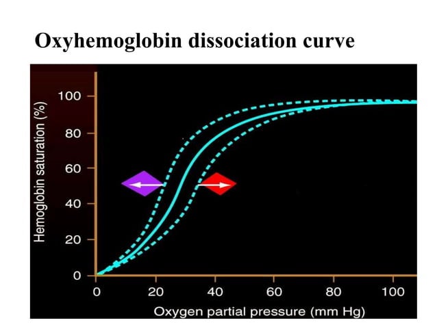 Basis for red/pink lividity at cold temperature | PPTX | Blood ...