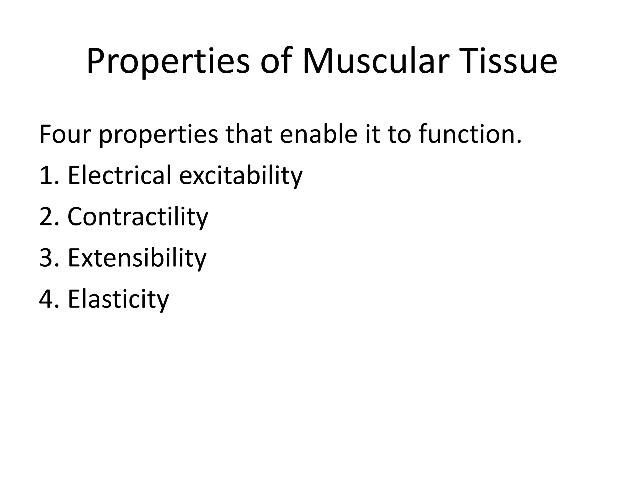 .Mascular system | PPTX