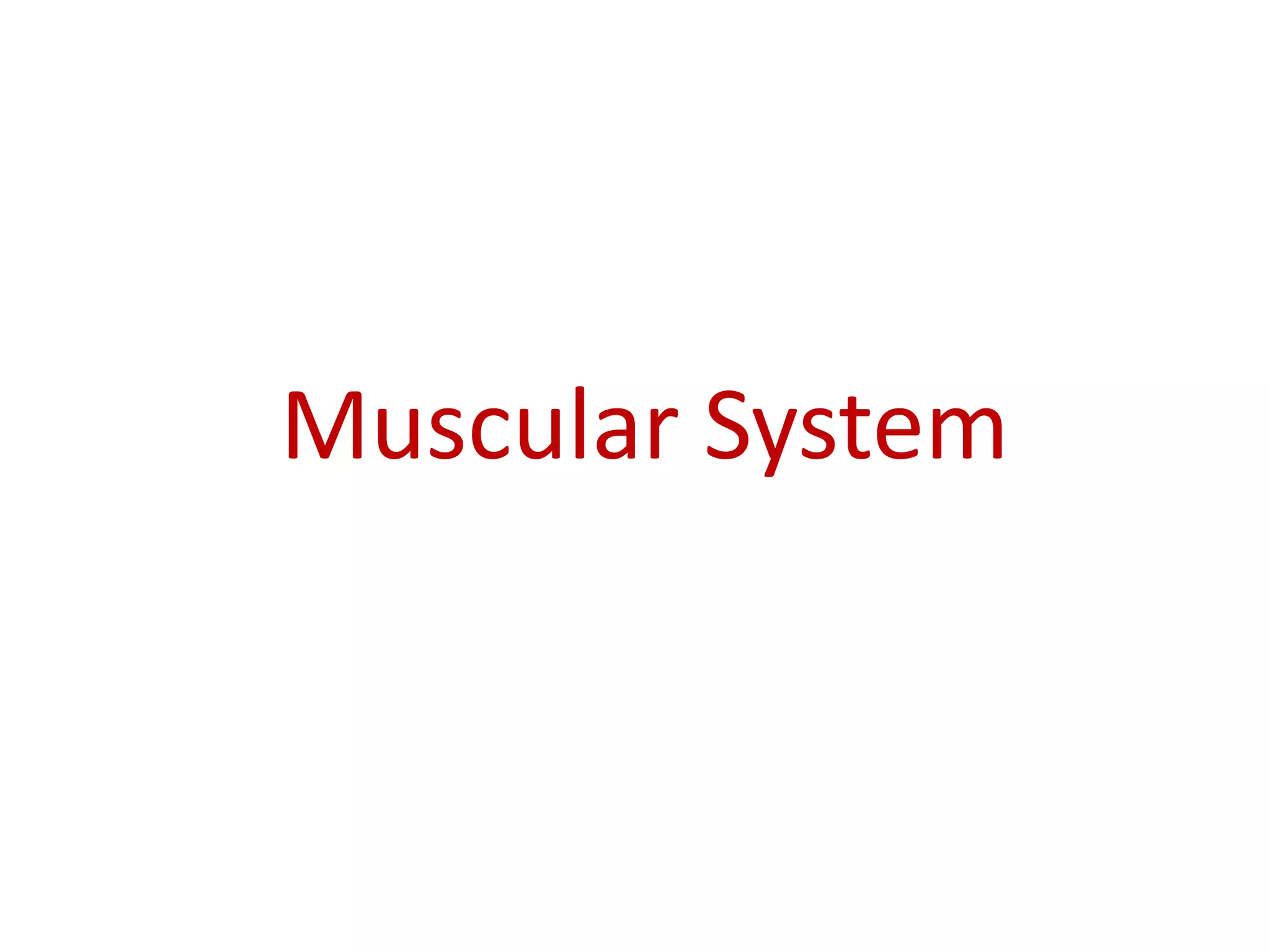 .Mascular system | PPT