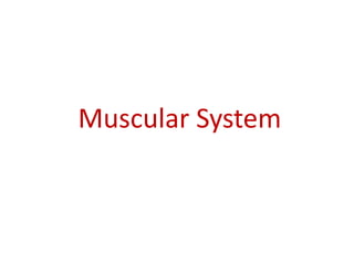 .Mascular system | PPT