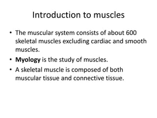 .Mascular system | PPT