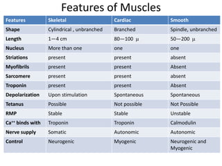 .Mascular system | PPTX