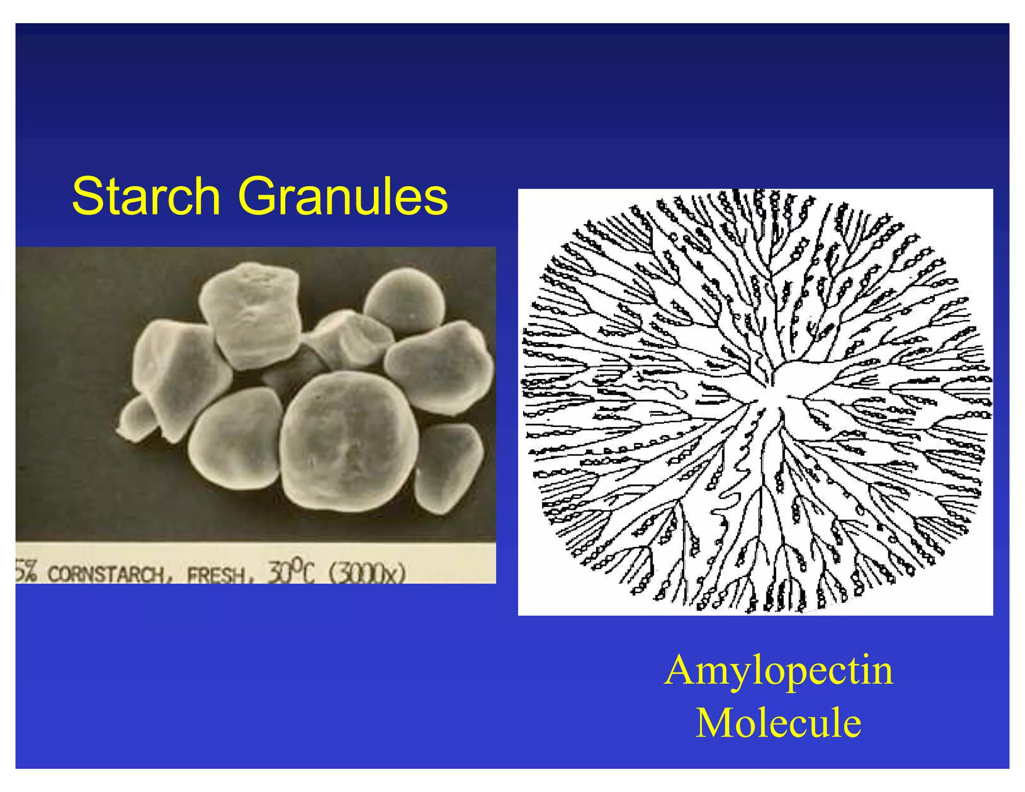 6. principles of steam conditioning | PDF