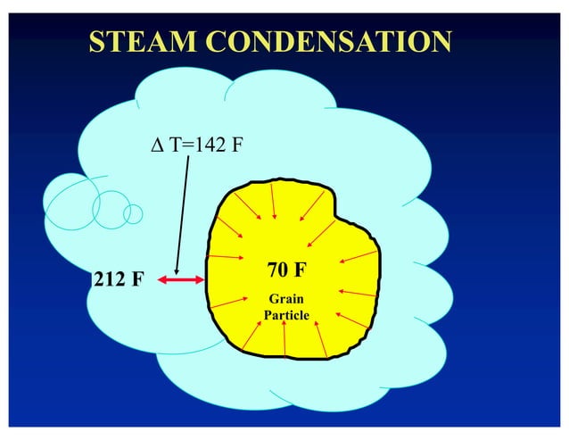 6. principles of steam conditioning | PDF | Science