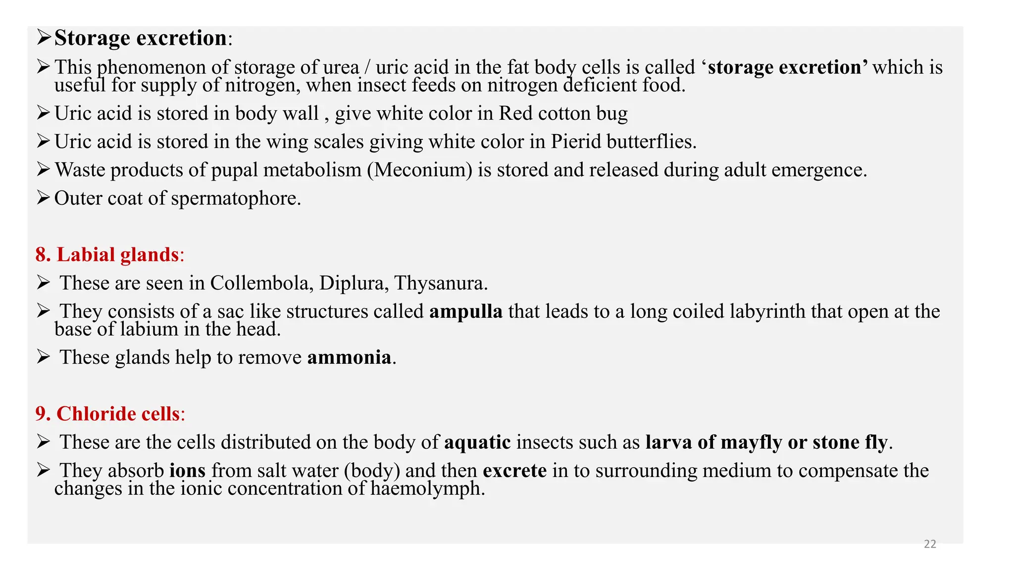 insect circulatory and excretory systems | PPTX