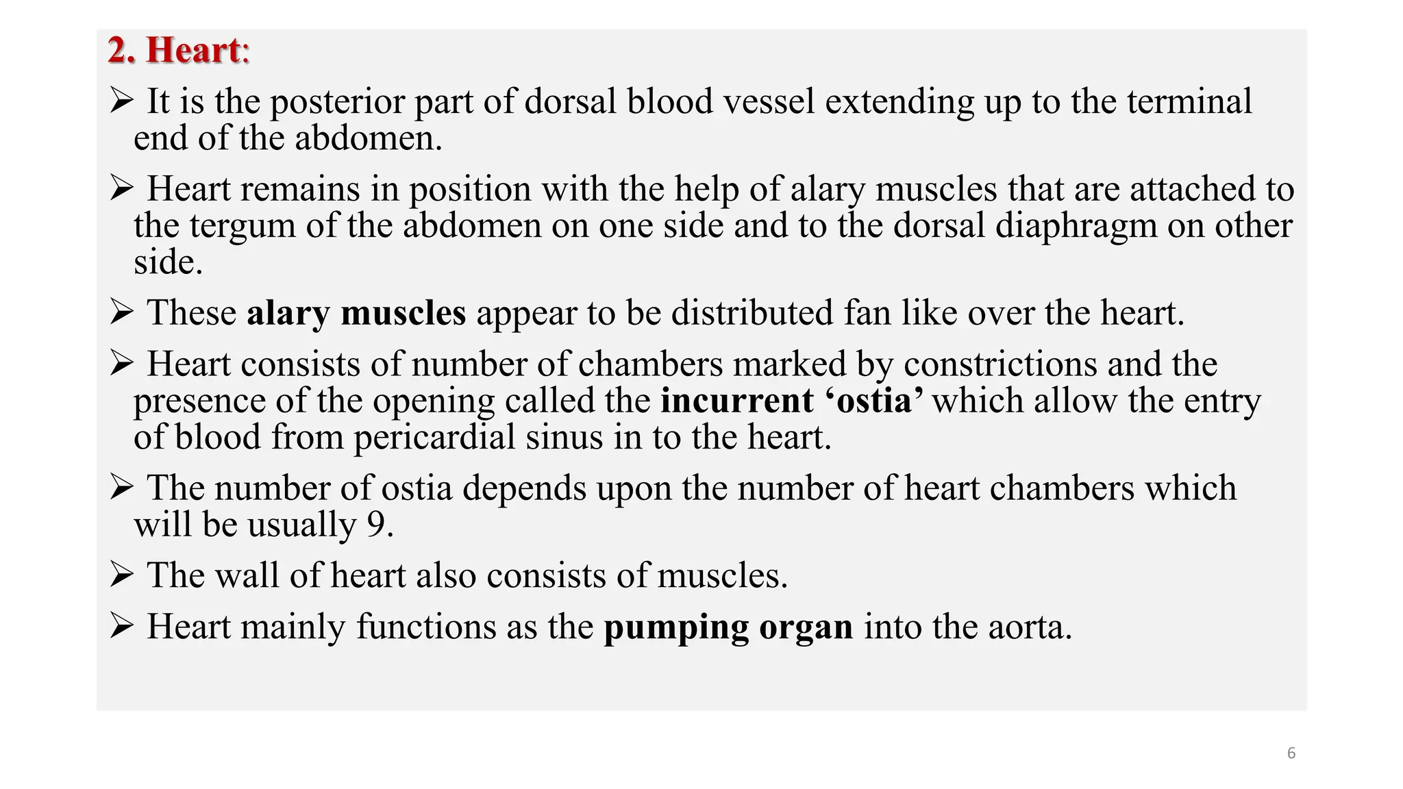 insect circulatory and excretory systems | PPTX