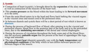 insect circulatory and excretory systems | PPTX