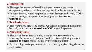 insect circulatory and excretory systems | PPTX