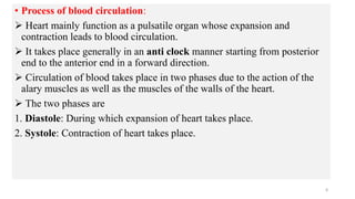 insect circulatory and excretory systems | PPTX