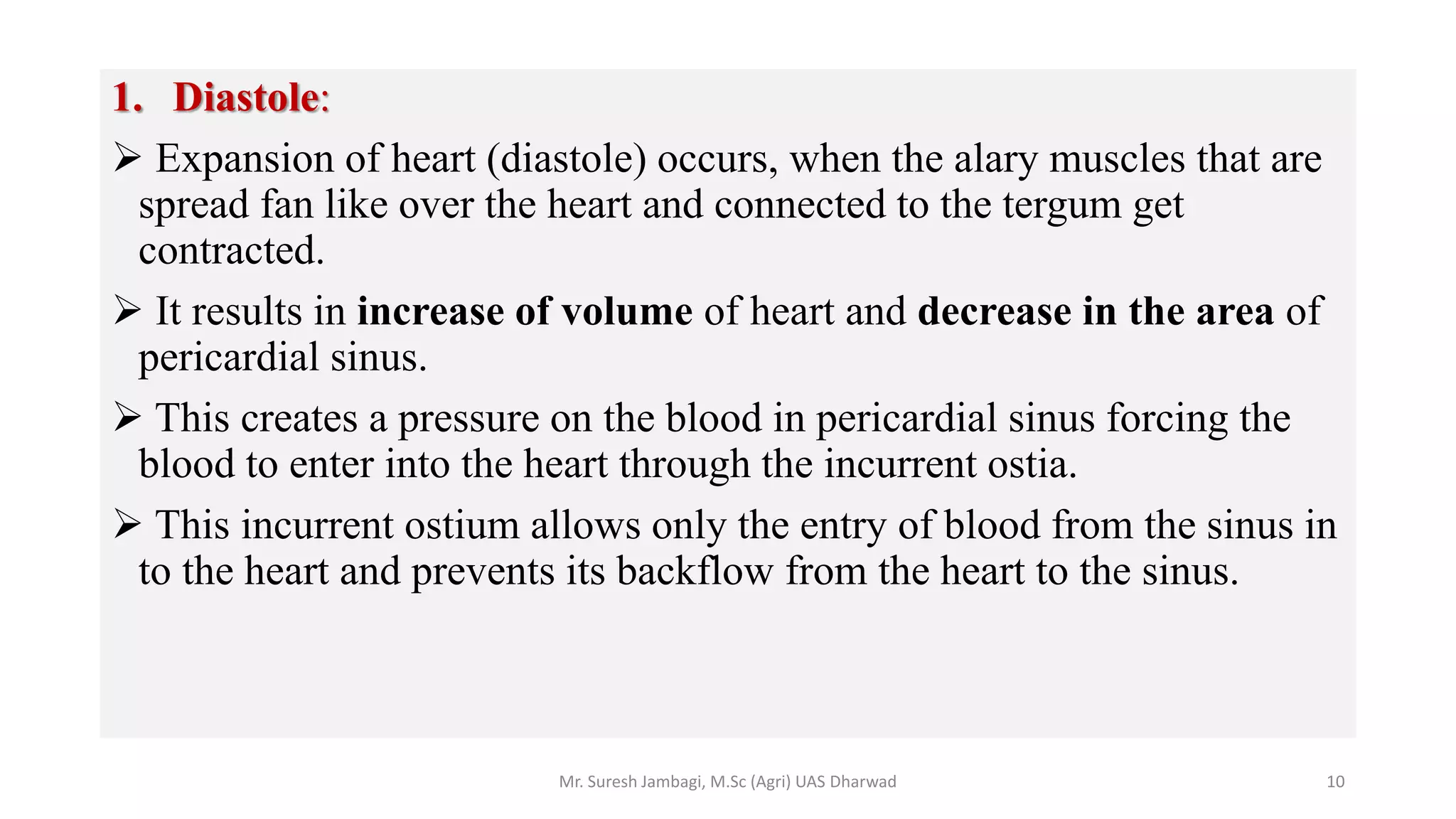 Circulatory and Excretory system in insect | PPTX