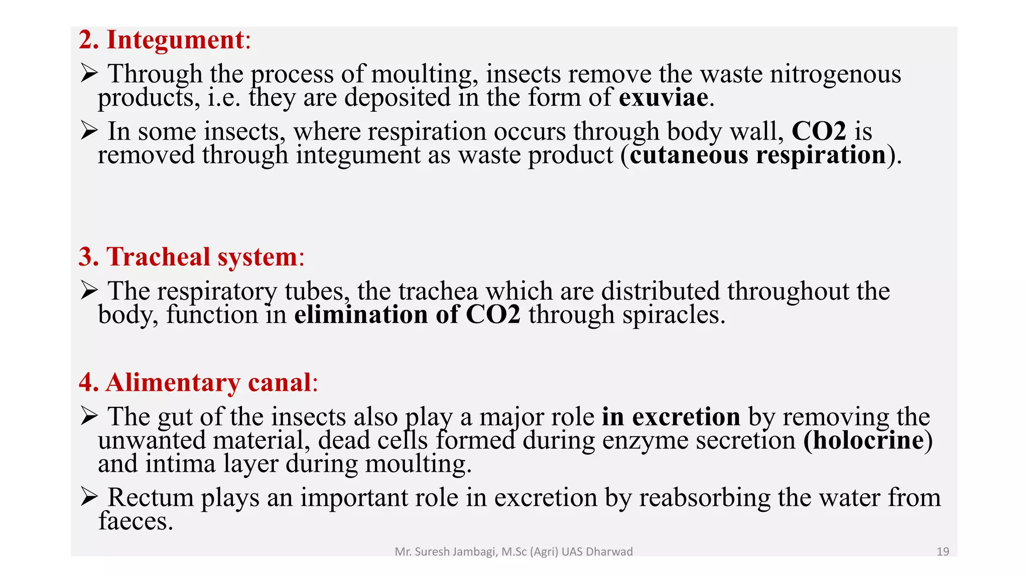 Circulatory and Excretory system in insect | PPTX