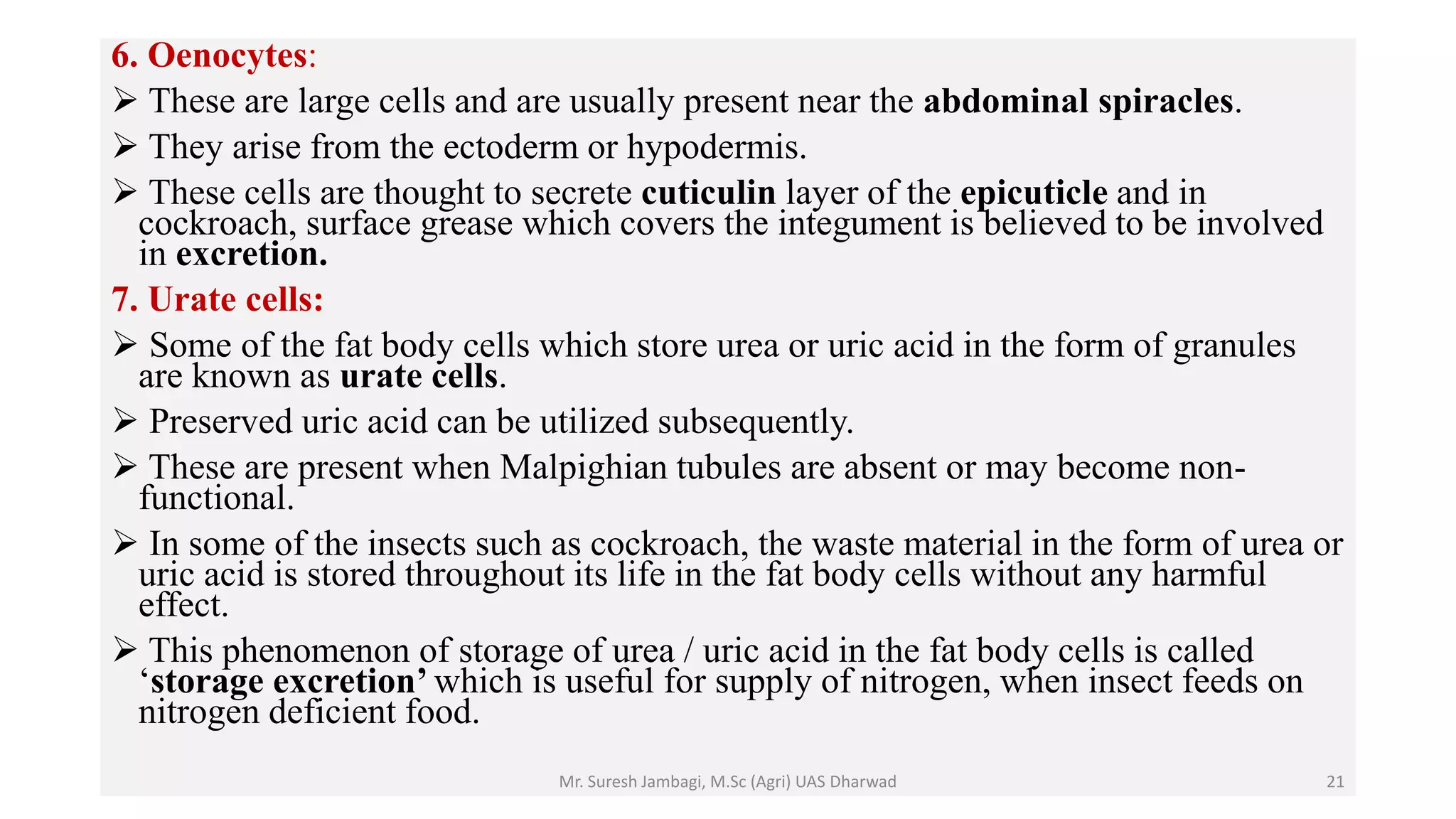 Circulatory and Excretory system in insect | PPTX