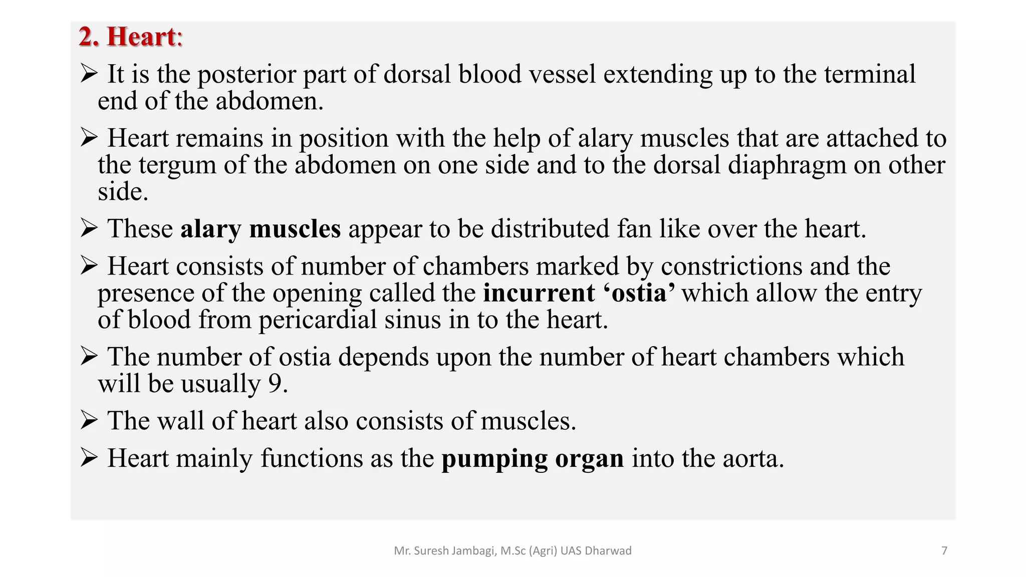 Circulatory and Excretory system in insect | PPTX