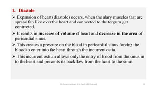 Circulatory and Excretory system in insect | PPTX