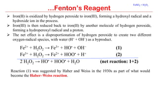 6. fenton's reagents | PDF